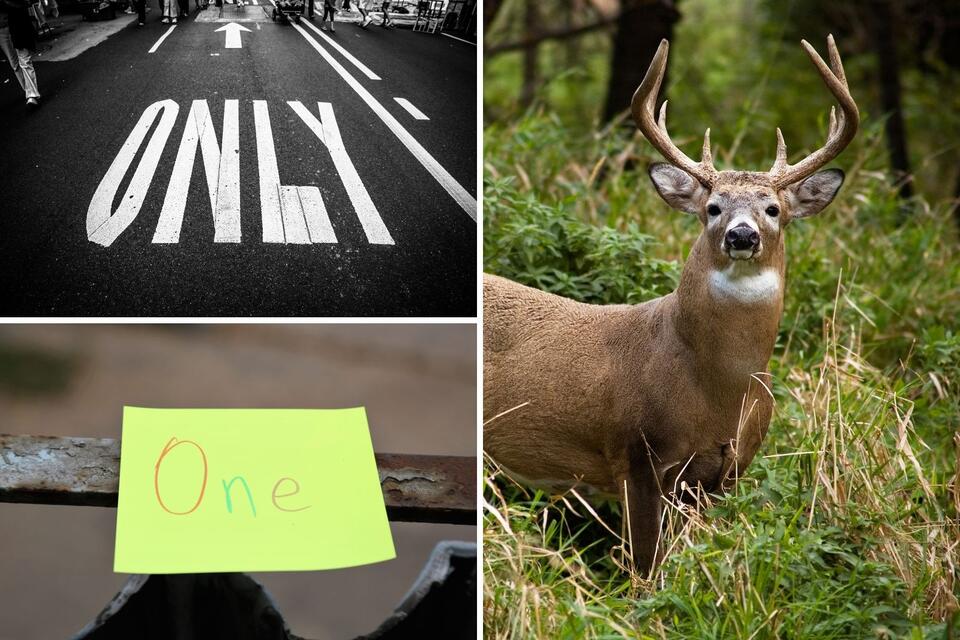 Is the One Buck Rule Returning in 2027? - NewsBreak