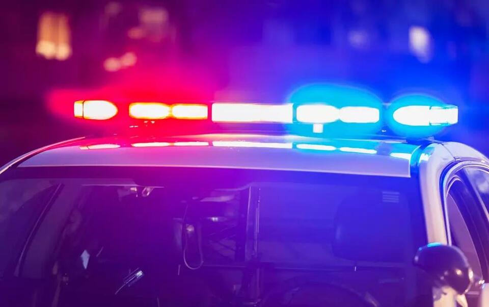 Wisconsin Bar Shut Down Over Chickens and Cocaine – Yes, Really - NewsBreak