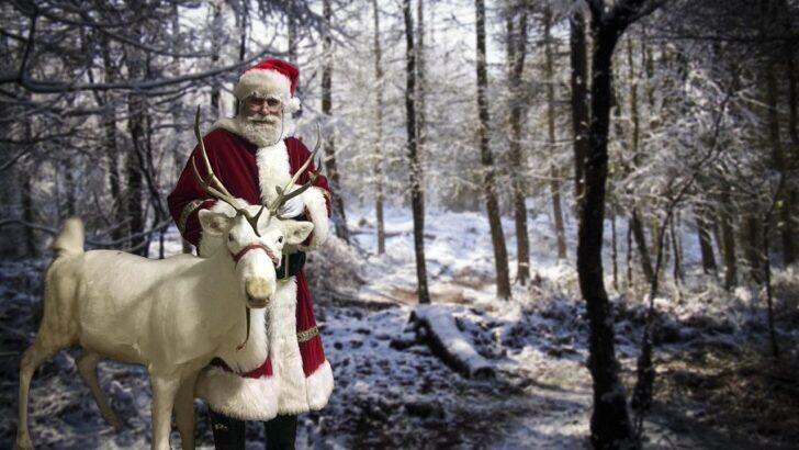 The History Behind Santa’s Reindeer - NewsBreak