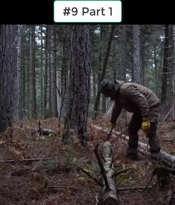 A frame cabin bilding survival P1 survival camping bushcraftsurvival ...