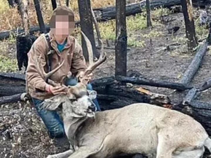 Town 'defends hunter' who captured wolf and paraded it through bar ...