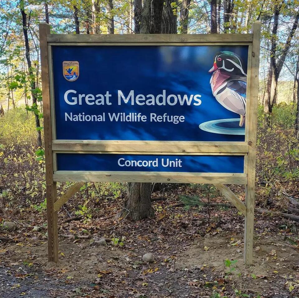 Weird Incidents of Quicksand In Mass. - NewsBreak