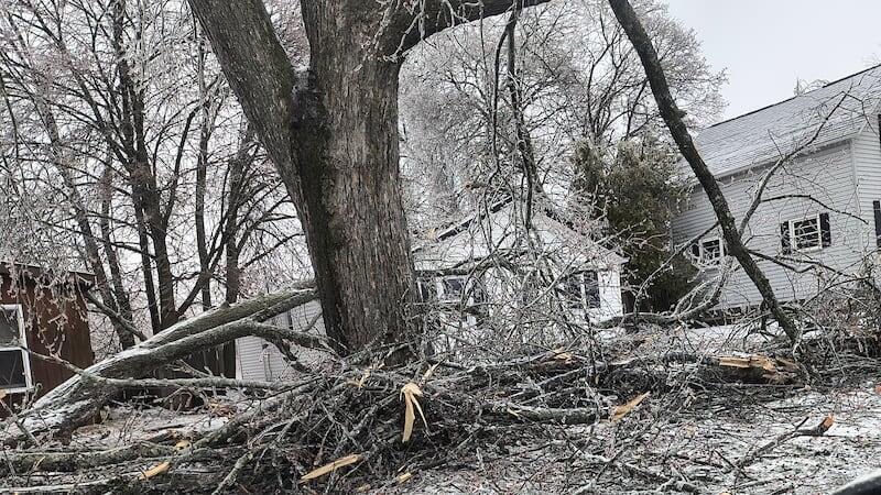 Michigan State Police to assess ice storm damage for federal aid ...