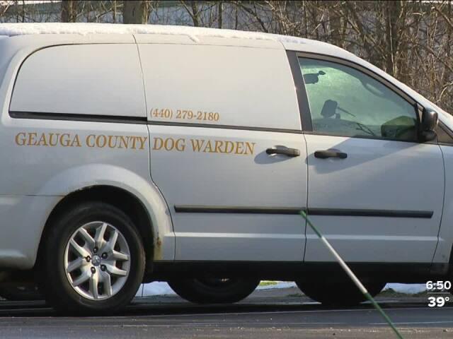 Tensions high in Geauga County over dog shelter's future - NewsBreak