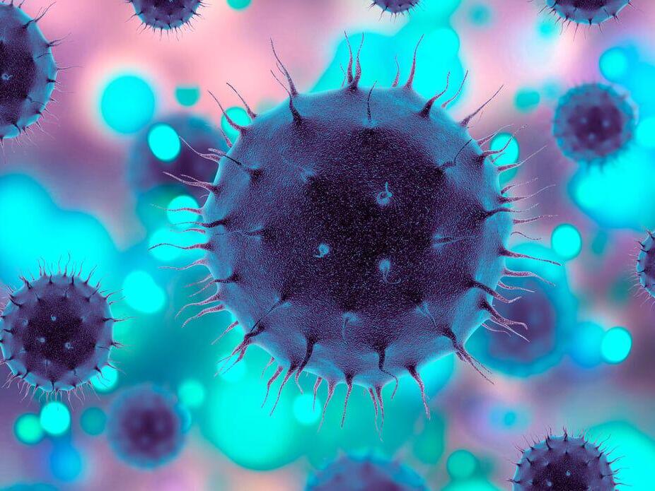 Patient in Mexico Dies From First Known Human Infection of H5N2 Strain ...