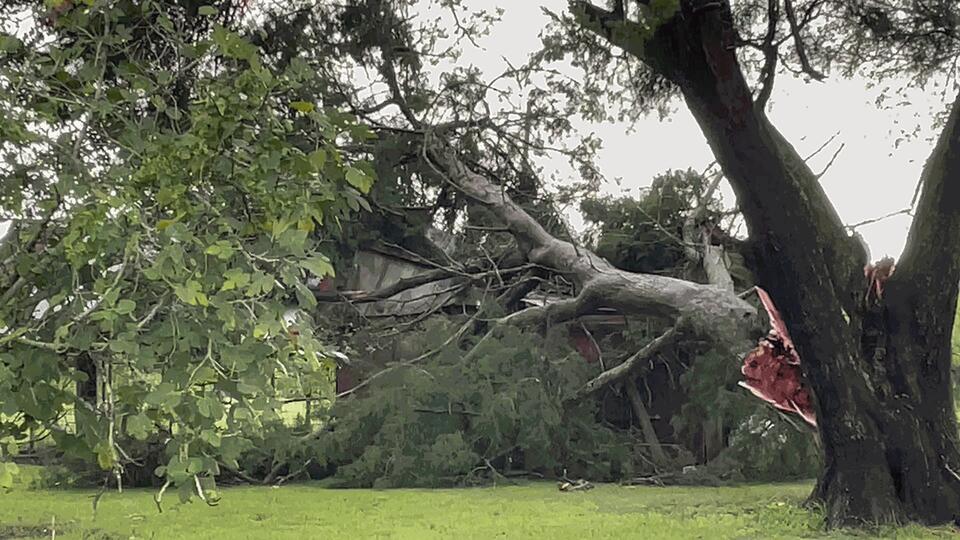 Storms in Crowley knock down trees and power lines - NewsBreak