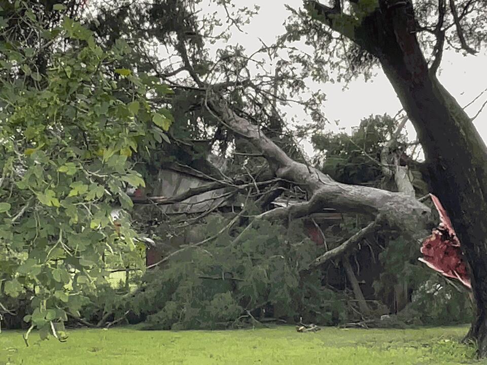 Storms in Crowley knock down trees and power lines