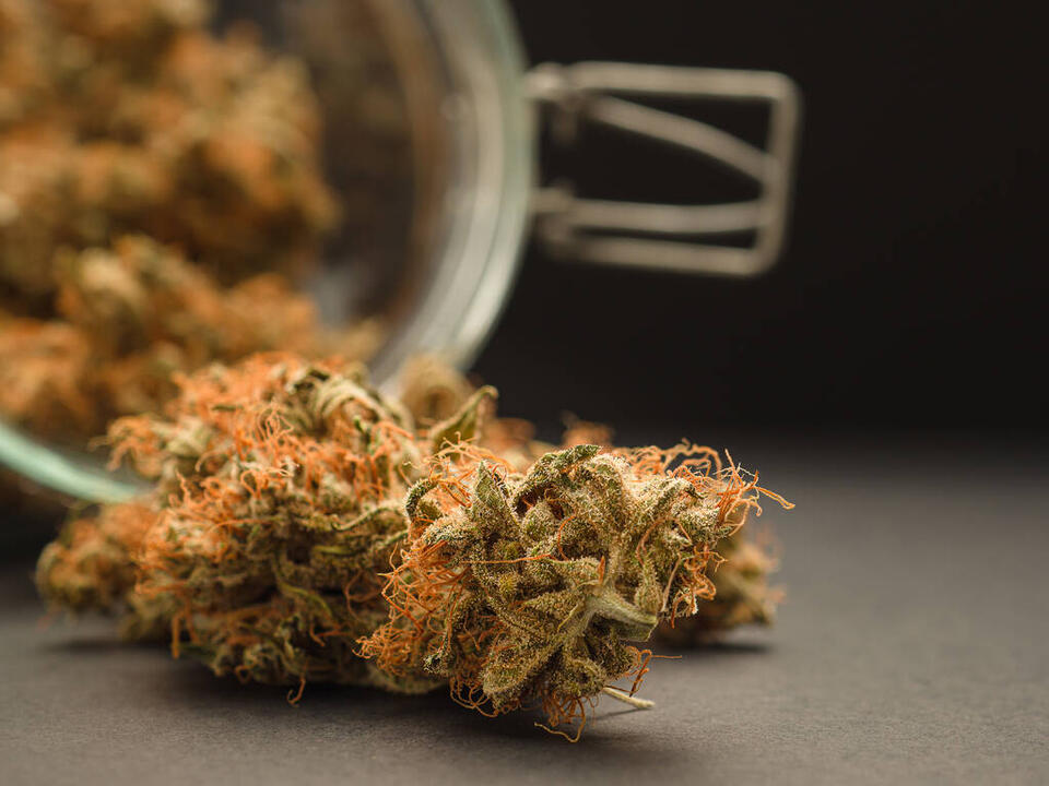 Oklahoma Marijuana Legalization Campaign Faces One-Week Deadline to ...