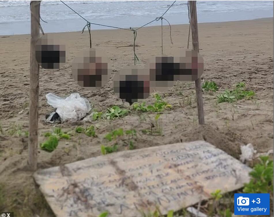 Five human heads are found hanging from ropes at a tourist beach in ...