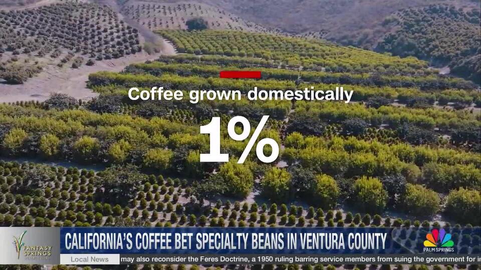 Tariffs Drive Up Coffee Prices, But Can California Beans Compete ...