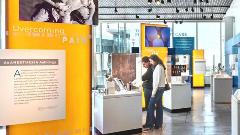 The Free Museum Most Boston Locals Don't Know Exists - NewsBreak