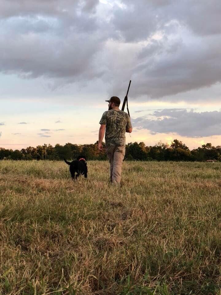 Georgia Dove hunting season opens Sept. 6 - NewsBreak