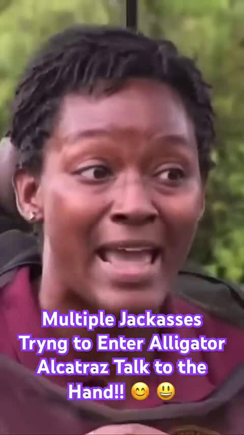 Multiple Jackasses Trying to Enter Alligator Alcatraz Talk to the Hand ...