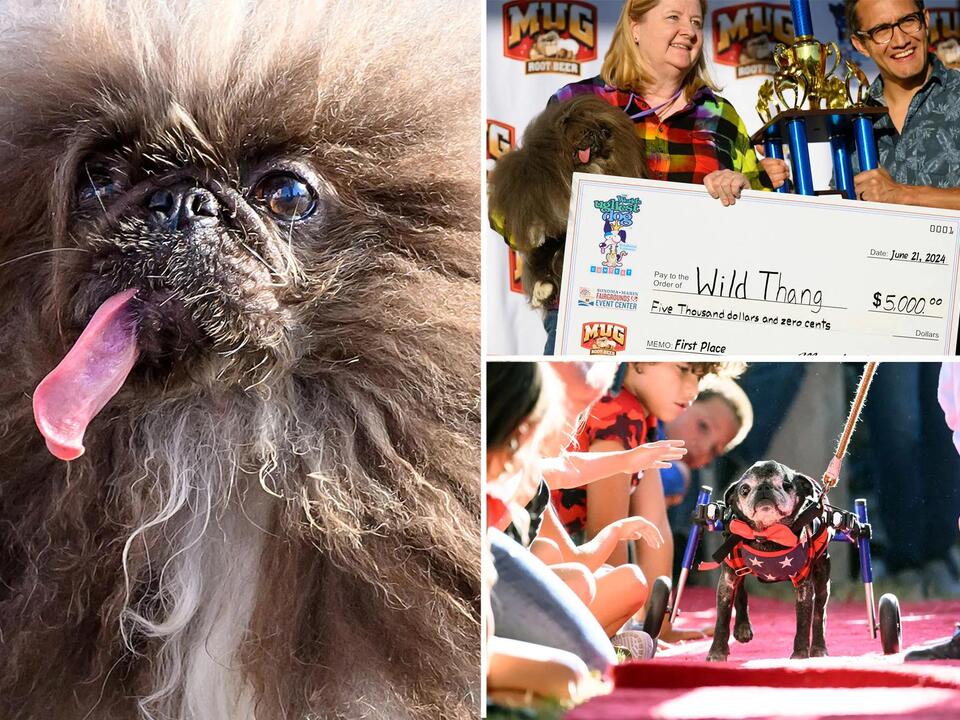 Pekingese dubbed Wild Thang wins world’s ugliest dog contest