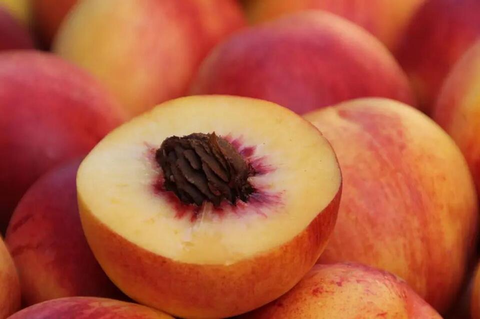 Freestone Peaches from Palisade Colorado Coming to Lubbock - NewsBreak