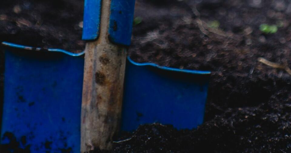 7 Signs That Your Soil Needs Mending Before You Start Your Garden ...