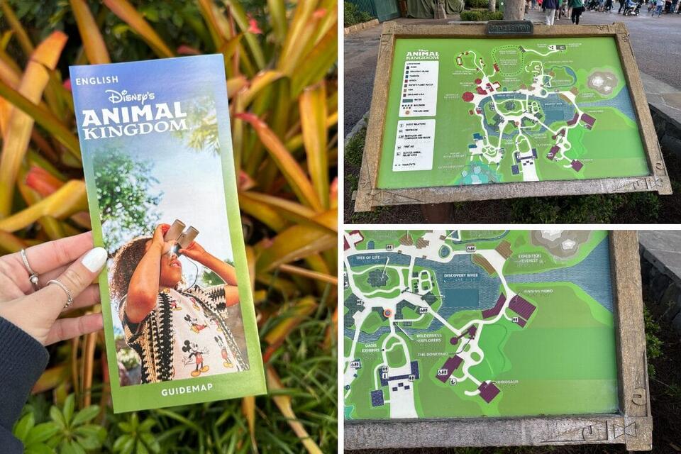 New Disney’s Animal Kingdom Guidemap Without ‘It’s Tough To Be A Bug ...