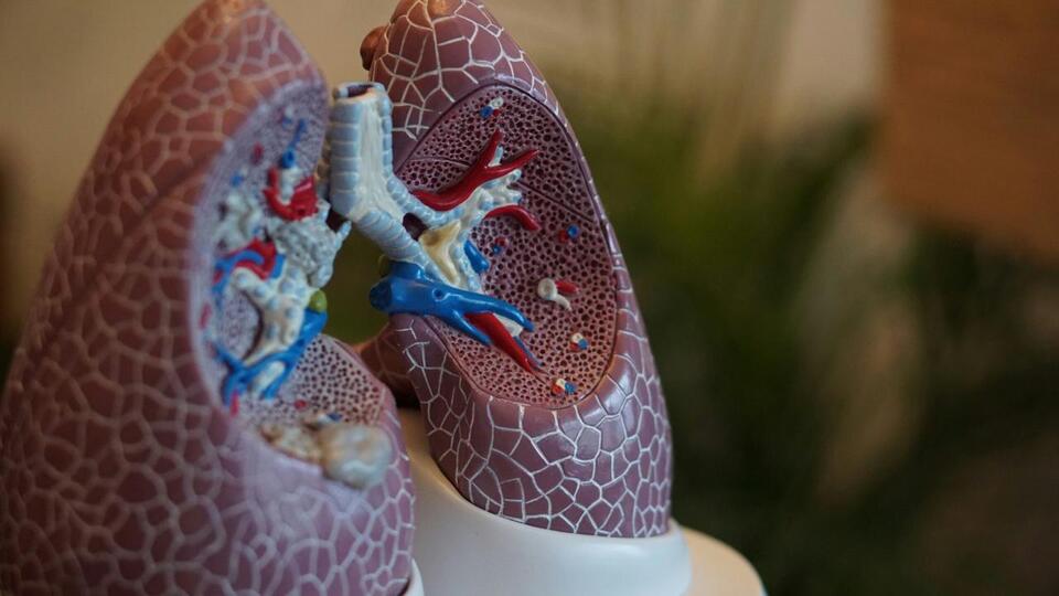 Your Breath Contains Molecules From Caesar and Cleopatra - NewsBreak