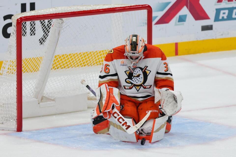 The Anaheim Ducks Disappointing Season: Time to Sell Big - NewsBreak