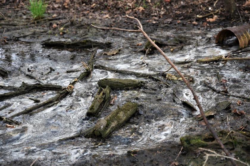 New bill hopes to end Michigan's status as only state without statewide ...