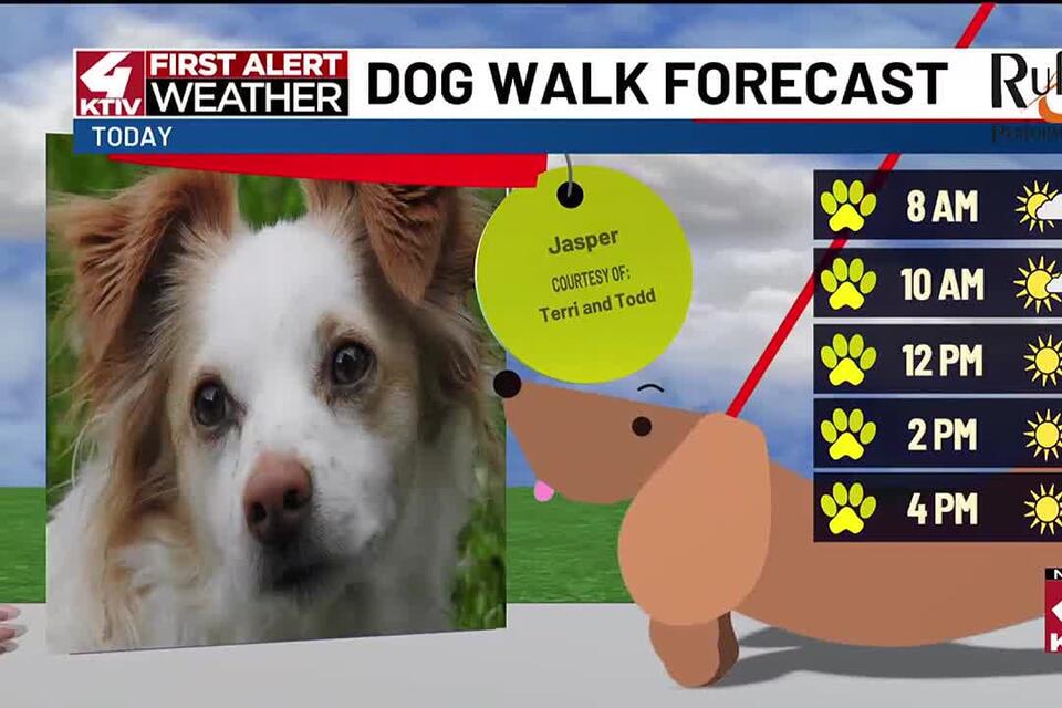 Dog Walk Forecast: Jasper - NewsBreak