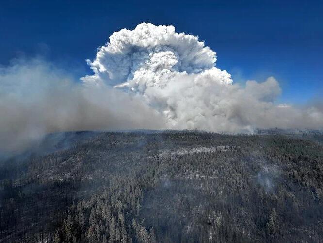 Oregon calls in out-of-state crews from as far as Florida to help ... Oregon calls in out-of-state crews from as far as Florida to help ...