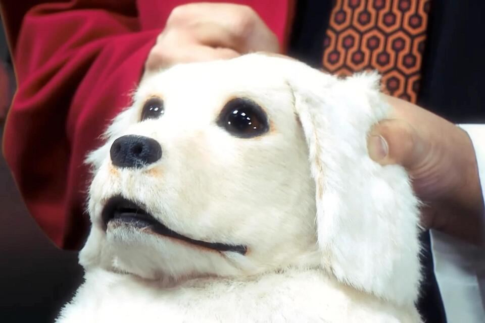 The Dogbert Puppet From the Lost ‘Dilbert’ Live-Action TV Show Is ...