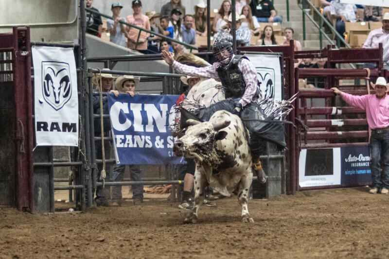 5 Things to Know about the Franklin Rodeo 2024 - NewsBreak