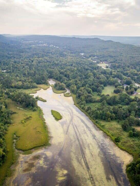 The Most Venomous Snakes Slithering Through the Backwoods of Alabama ...