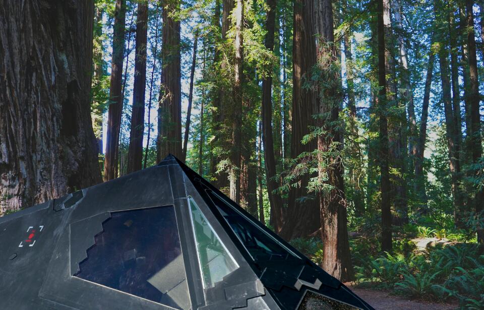 Secrets in the forest: The 1986 stealth fighter crash that the Air ...