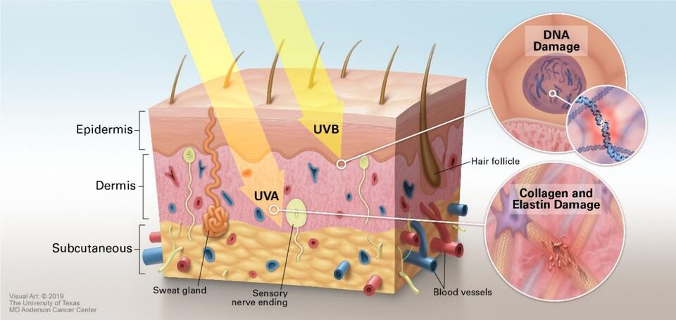 What’s the difference between UVA and UVB rays? - NewsBreak