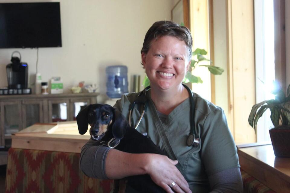New doctor joins Hometown Animal Hospital staff - NewsBreak