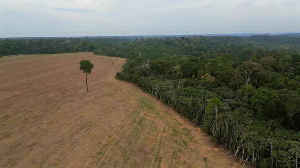 Brazil's Amazon rainforest at risk as key protection under threat ...