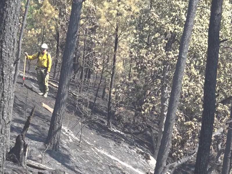 U.S. Forest Service optimistic First Thunder Fire reaches 85 percent ...