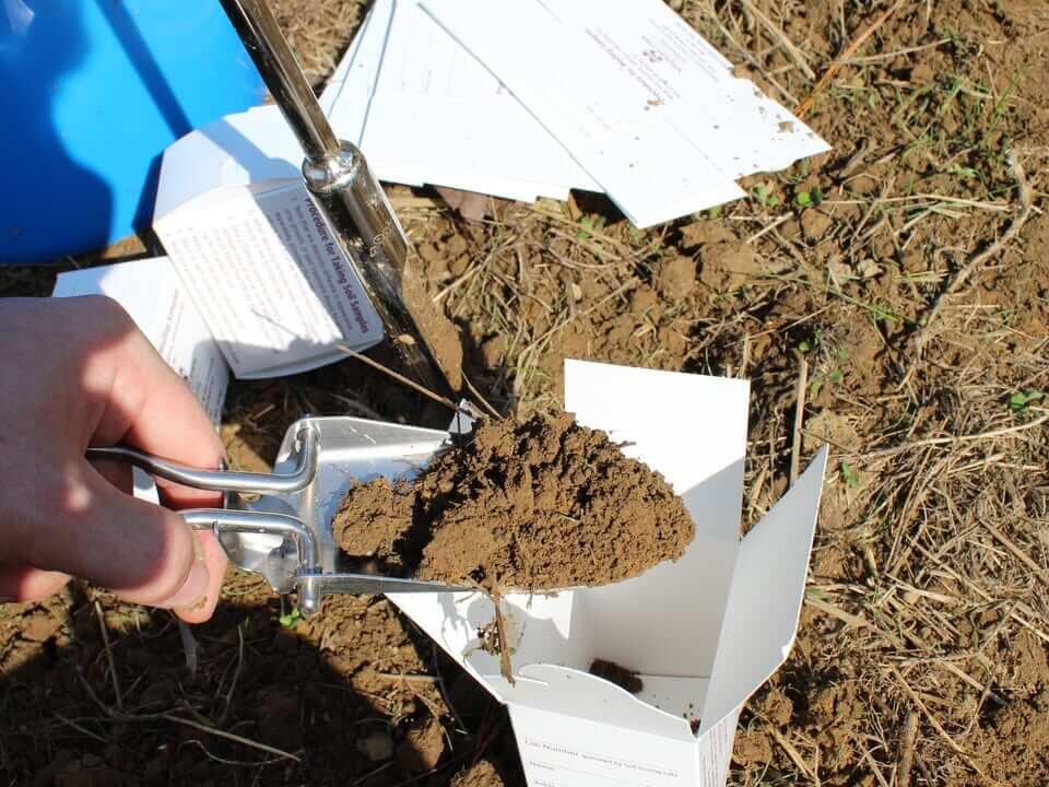 Maximize Food Plot Success with Simple Soil Testing - NewsBreak