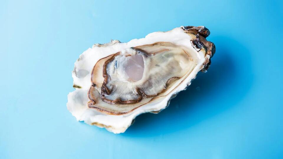 All About Oysters: Nutrition, Preparation Tips, and More - NewsBreak