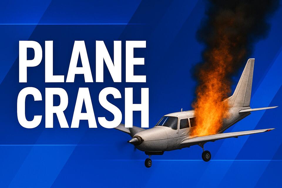 Pilot and Dog Killed in Georgia Plane Crash - NewsBreak