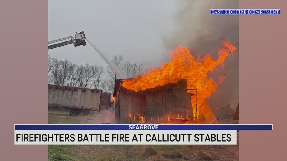 Dozens of horses killed in devastating fire at Callicutt Stables in ...