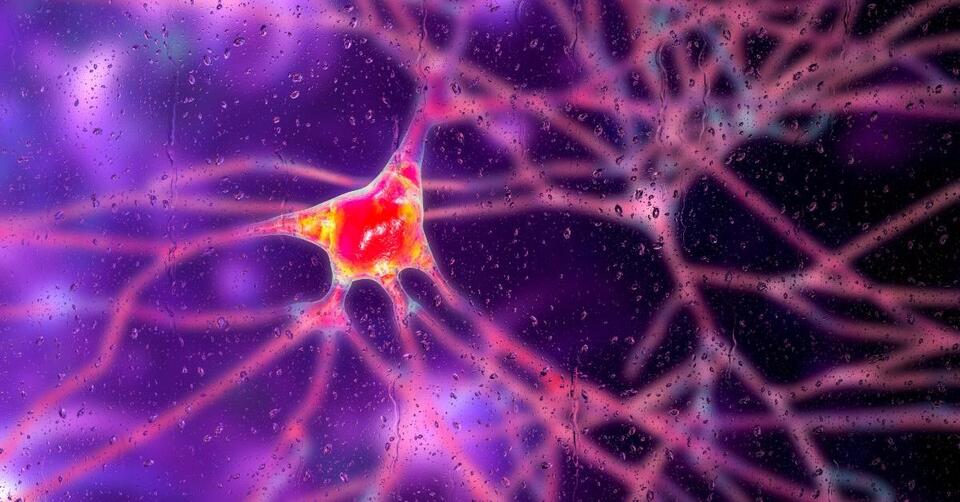 Scientists Just Announced the First Real Treatment for Huntington’s ...