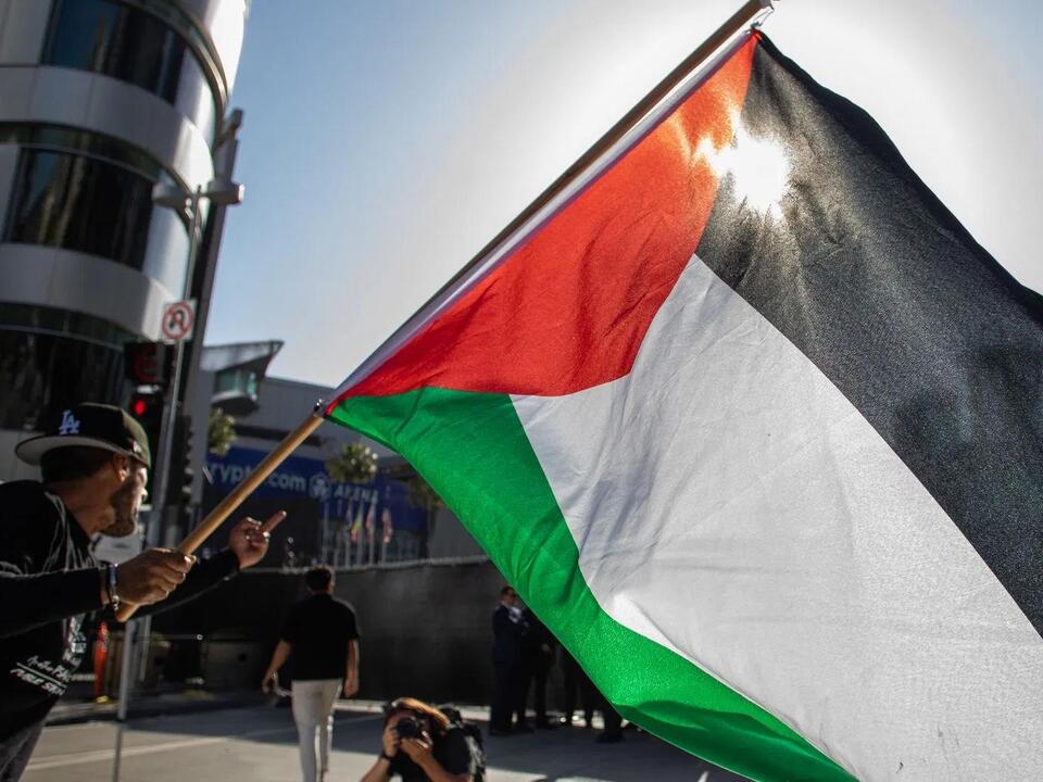 Anti-Israel protesters burn US flags, embrace terrorist groups on July ...
