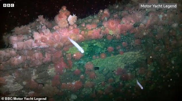 See Captain Scott's ship like NEVER before: Scientists film the polar ...