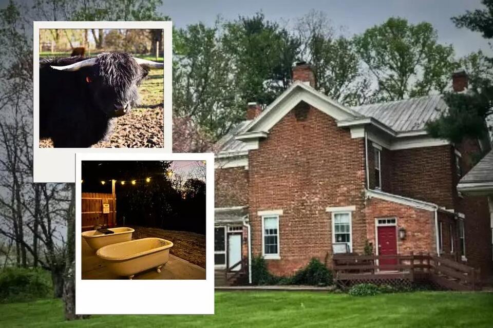 You Can Stay in a Historic Indiana Manor With Adorable Highland Cows ...