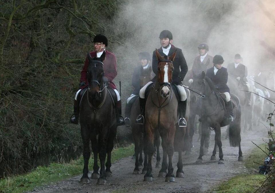 UK government set to ban trail hunting, rural community opposes - NewsBreak