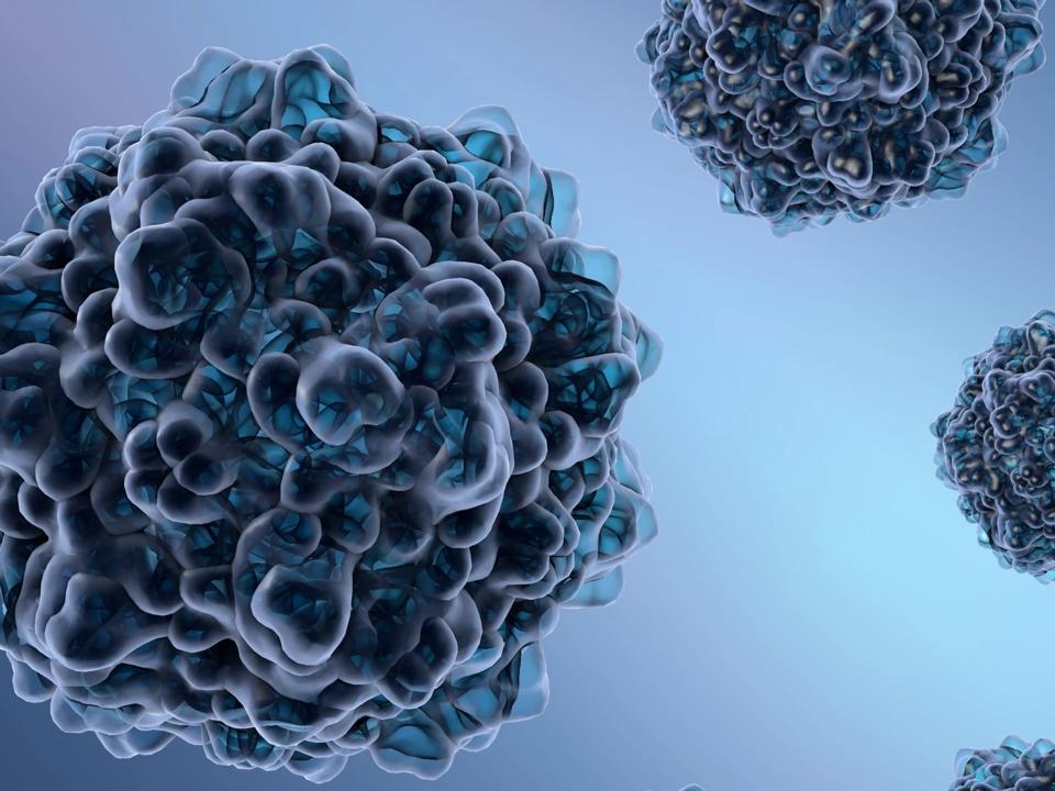 CDC warns cases of highly contagious parvovirus B19 are on the rise ...