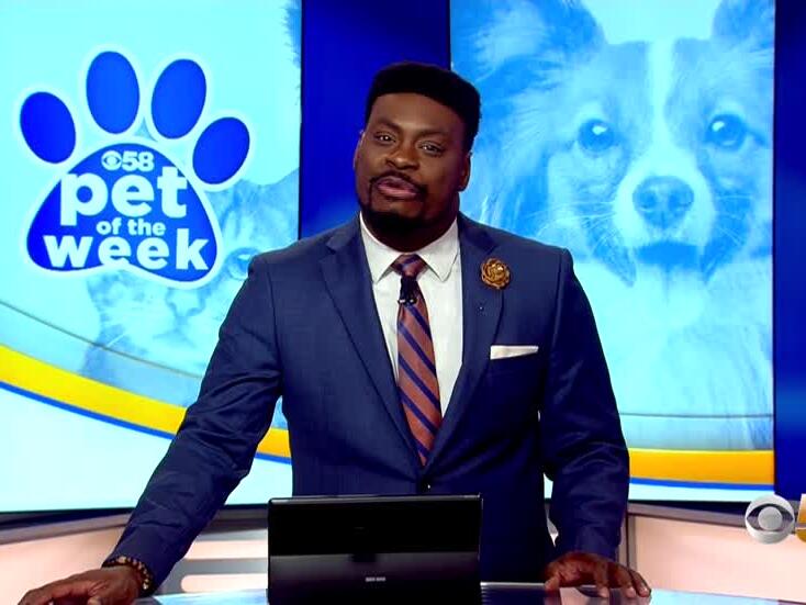 Meet CBS 58's Pet of the Week: Watson