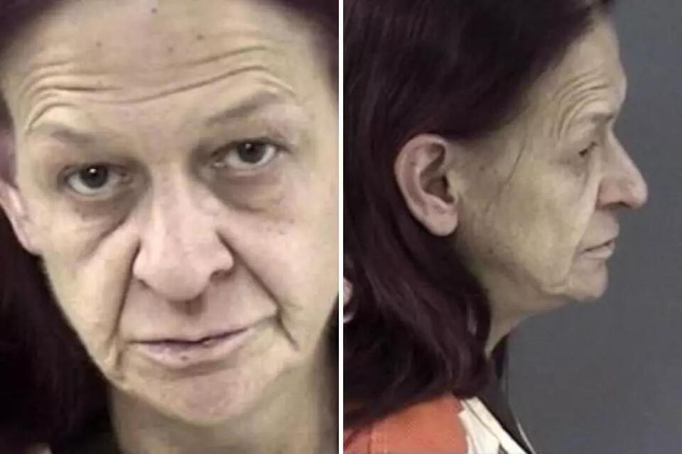 Cheyenne Woman With 6 Prior Drug Convictions Busted Again - NewsBreak