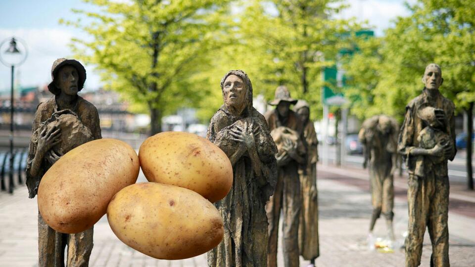 Ireland’s famine wasn’t just about potatoes—here’s what really happened ...