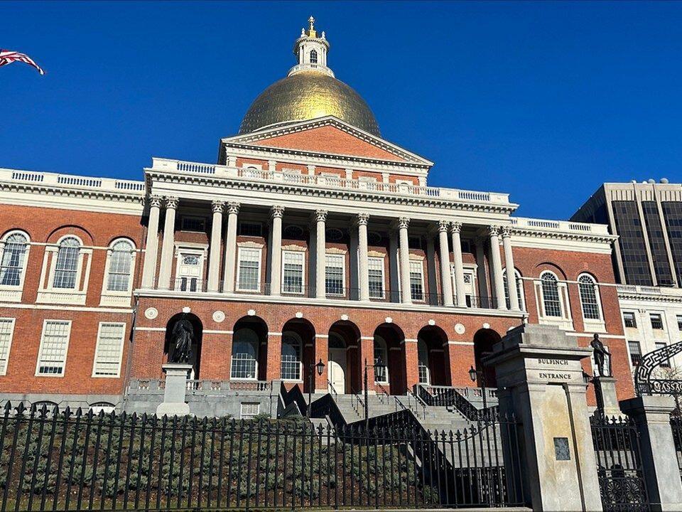 Animal welfare law to ban elephants from traveling acts; advocates ...