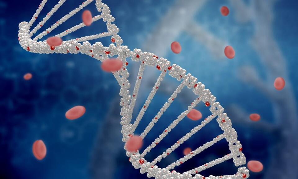 DNA from our extinct cousins helped the first Americans survive - NewsBreak