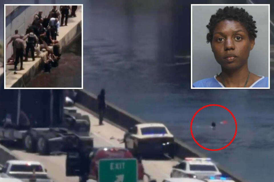 Moment motorist jumps into Florida lake to evade police during 90 mph ...